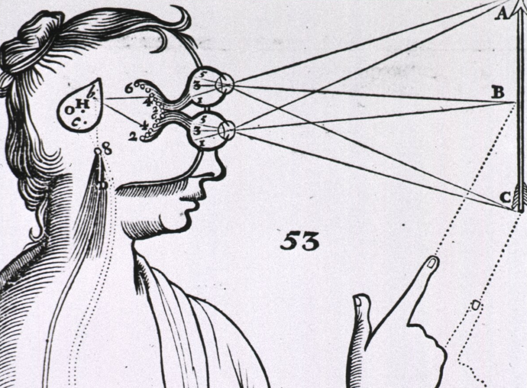 descartes-dualism | Gender Analysis