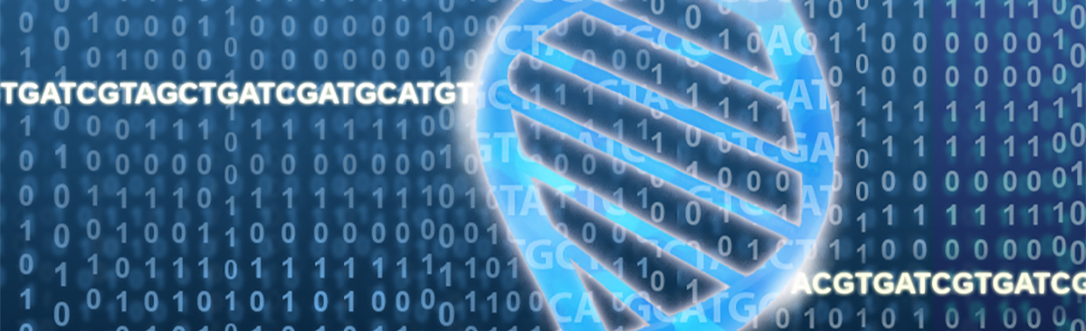 Another look at androgen receptor gene variants in trans women | Gender ...